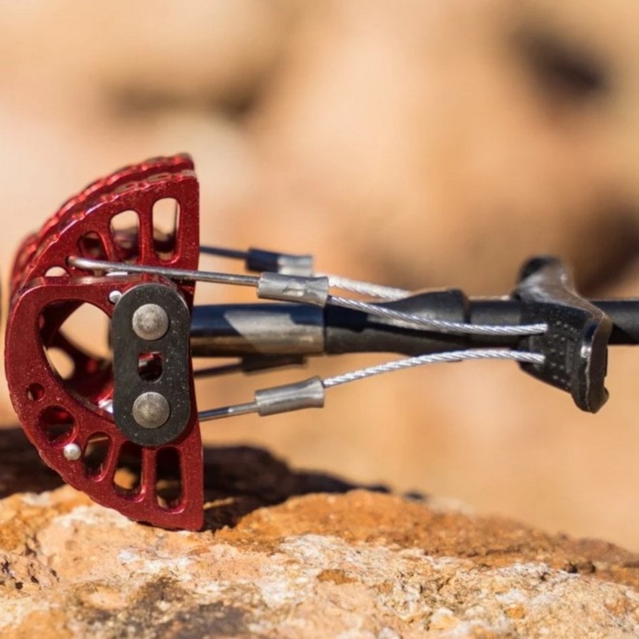 Black Diamond Camalot C4 Climbing Cams | Absolute-Snow