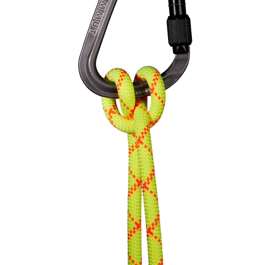 Mammut 9.5 Alpine Core Protect Dry Rope Climbing Rope