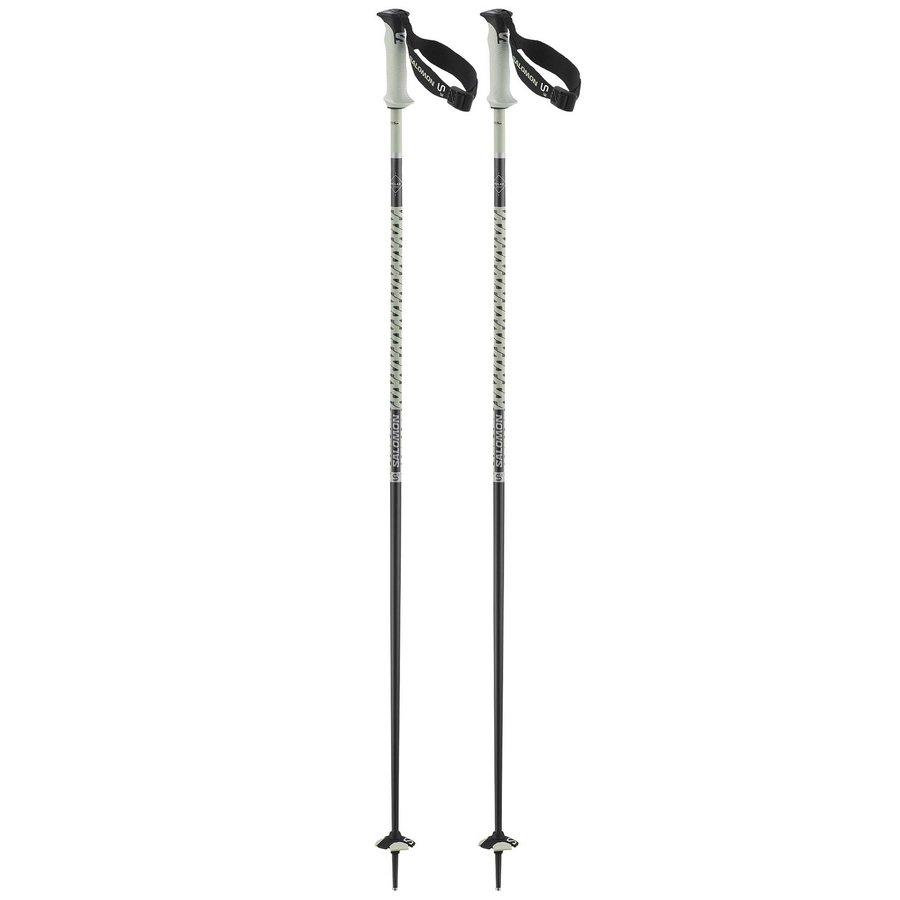 Salomon Polar Pro S3 Ski Poles | Absolute-Snow
