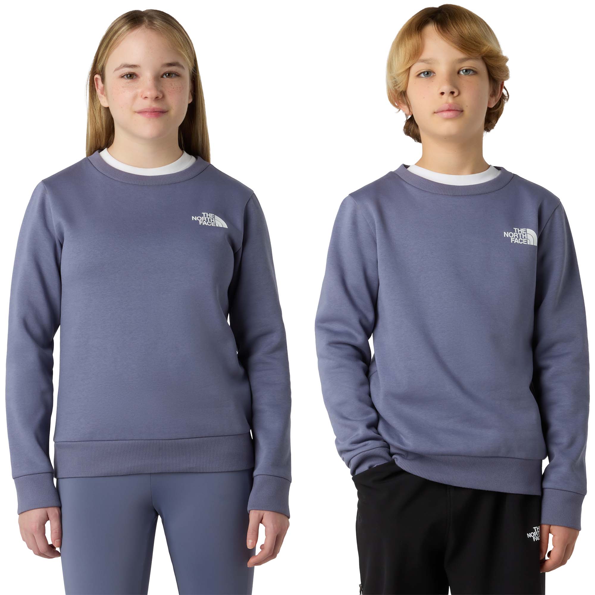 The North Face Simple Dome Crew Jumpers | Absolute-Snow