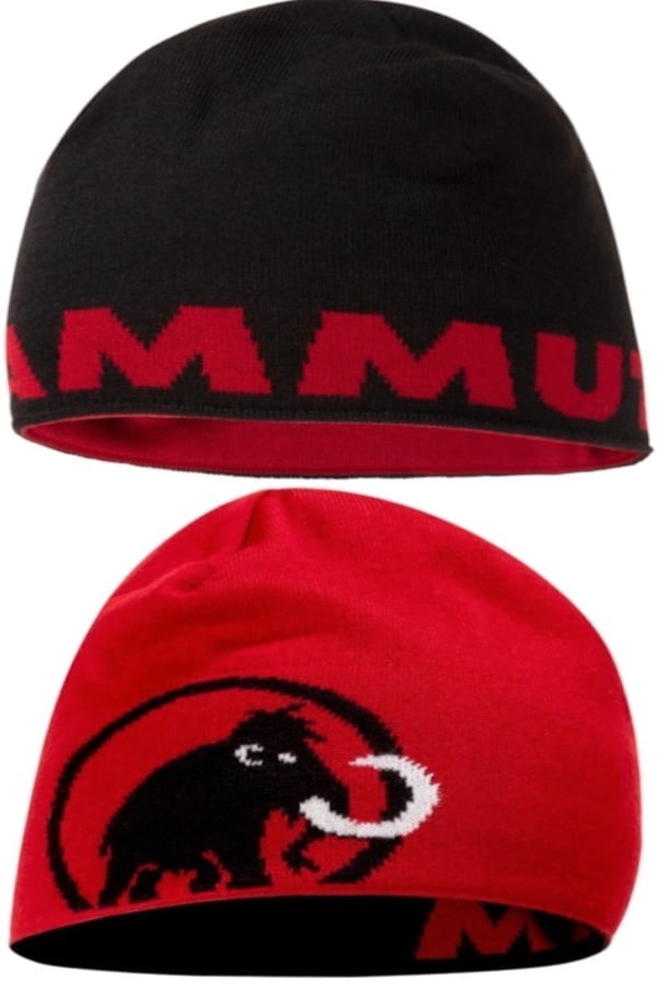 Mammut Logo Beanie Headwear | Absolute-Snow