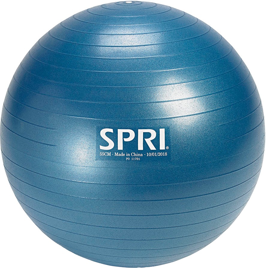 SPRI Performance Small Gym Balls | Absolute-Snow