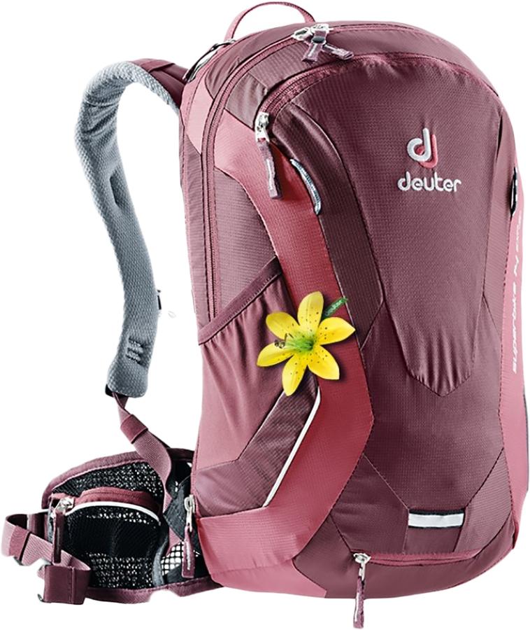 Deuter Superbike 14 EXP SL Backpacks | Absolute-Snow